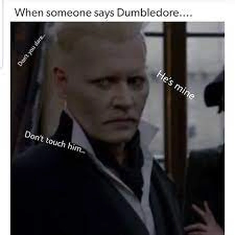 I’m kinda bored so here’s some grindeldore and wolfstar memes
