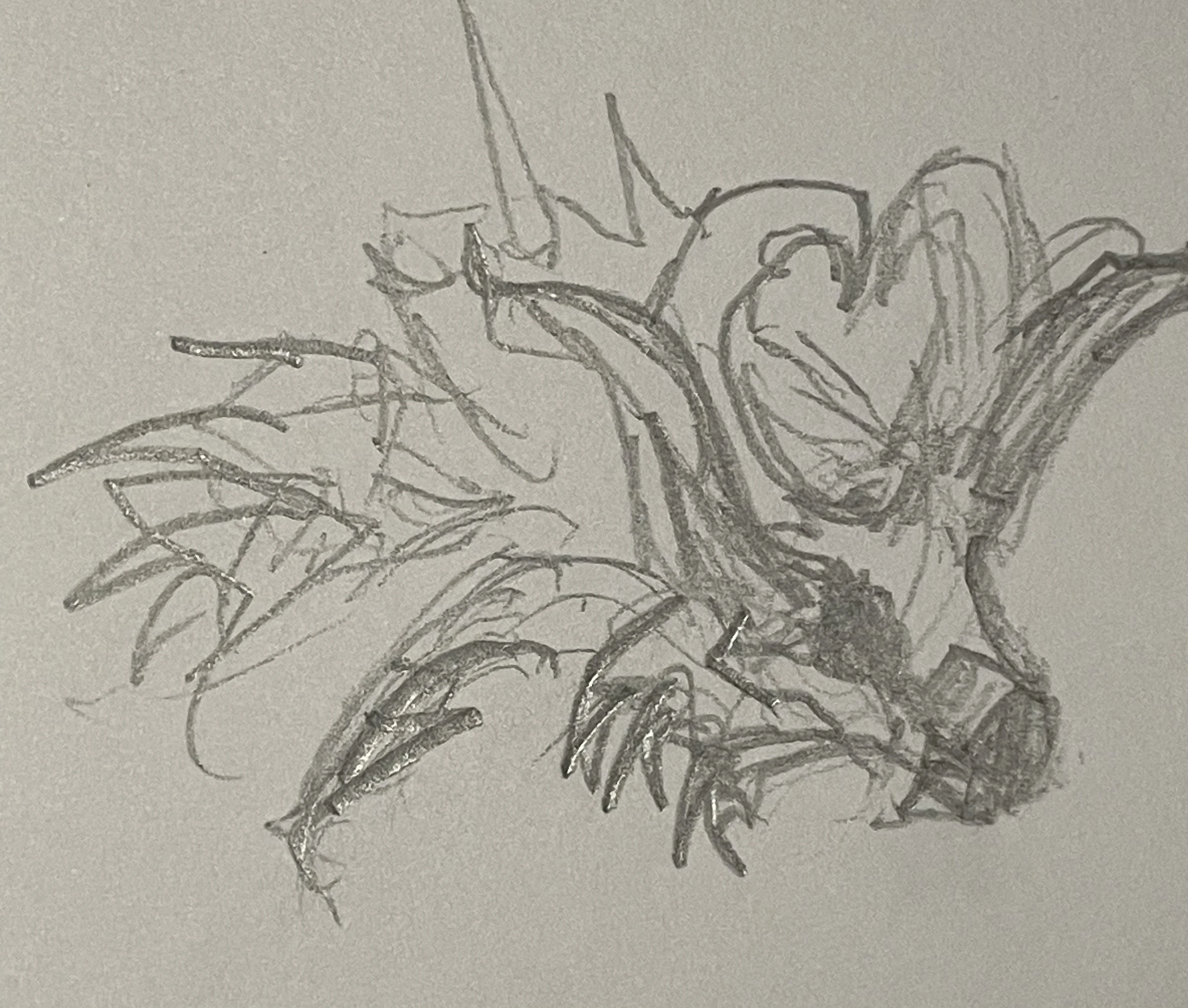 Extremely rough pencil sketches | Fandom