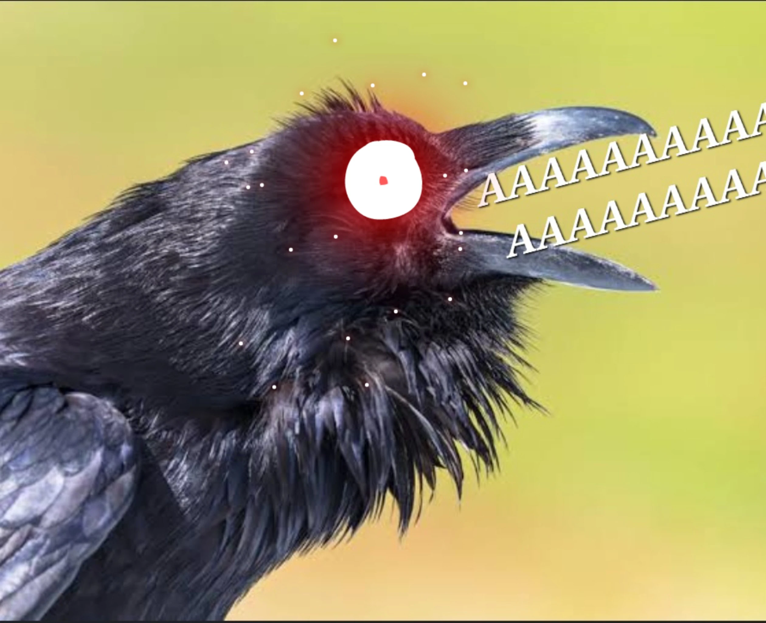 Raven update | Fandom