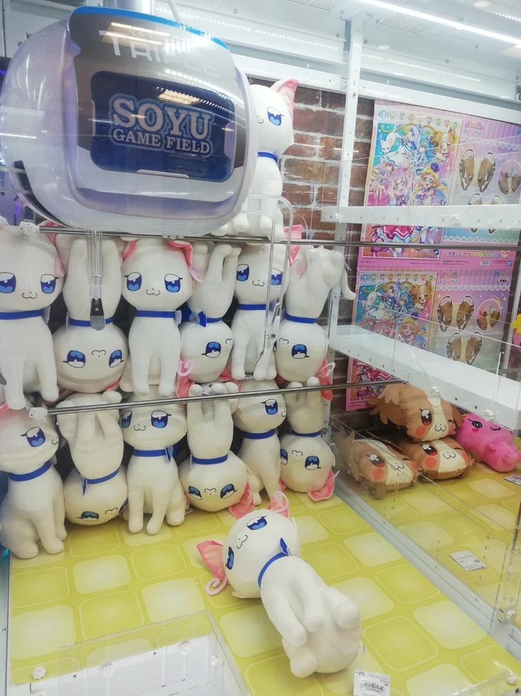 An interesting sight I saw in Japan today. | Fandom