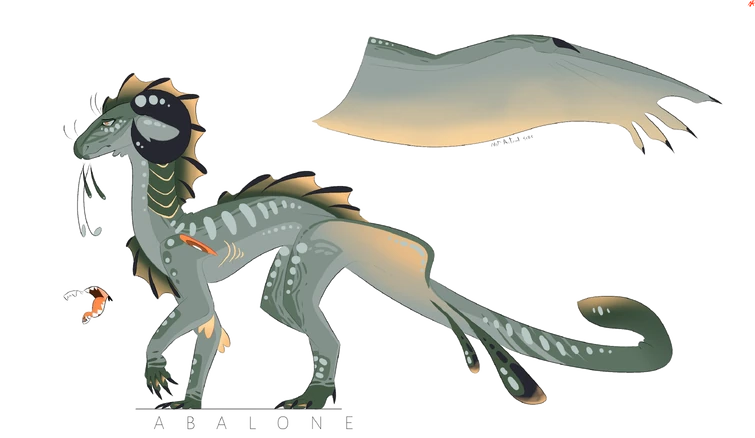 Abalone design | Fandom