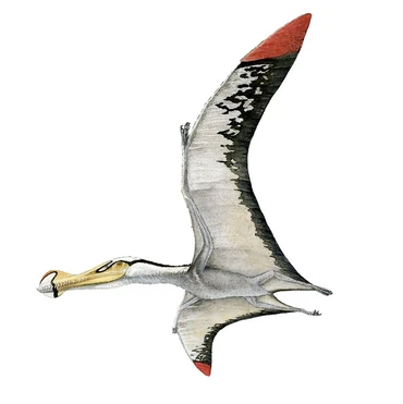 Discuss Everything About Dinopedia | Fandom