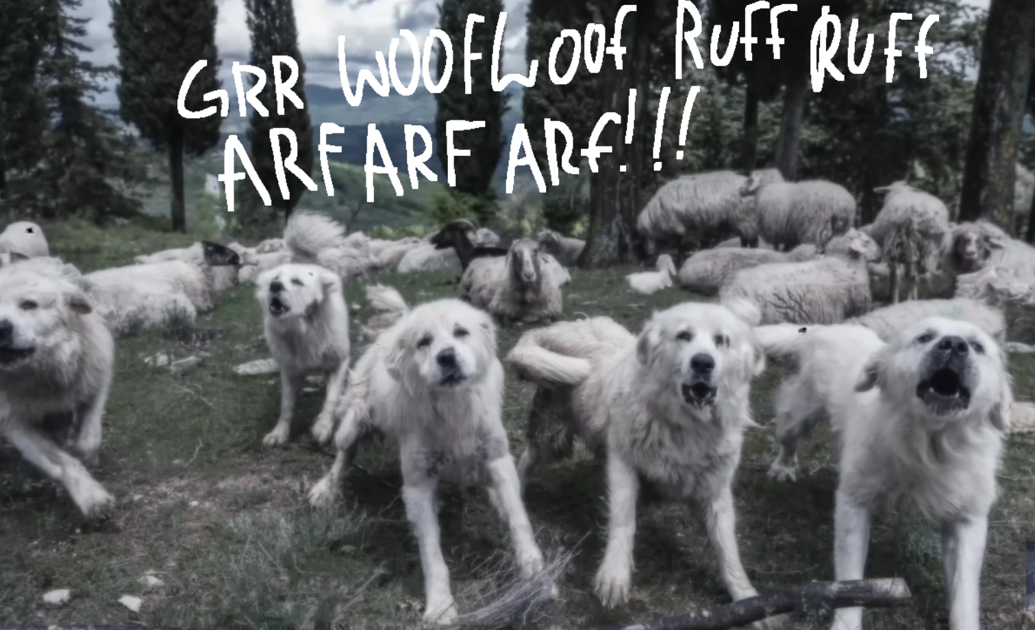 GRRR RUFF RUFF RUFF ARF ARF WAKE UP ⏰⏰‼️‼️‼️‼️. | Fandom