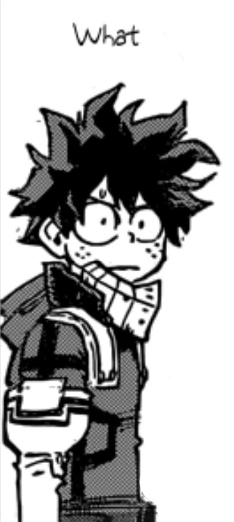 I made a random meme template of Deku | Fandom