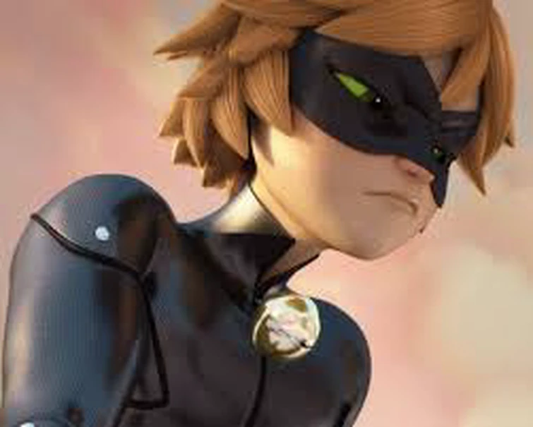 (Secret Project: B.R.E.E.D) Information about Cat Noir | Fandom