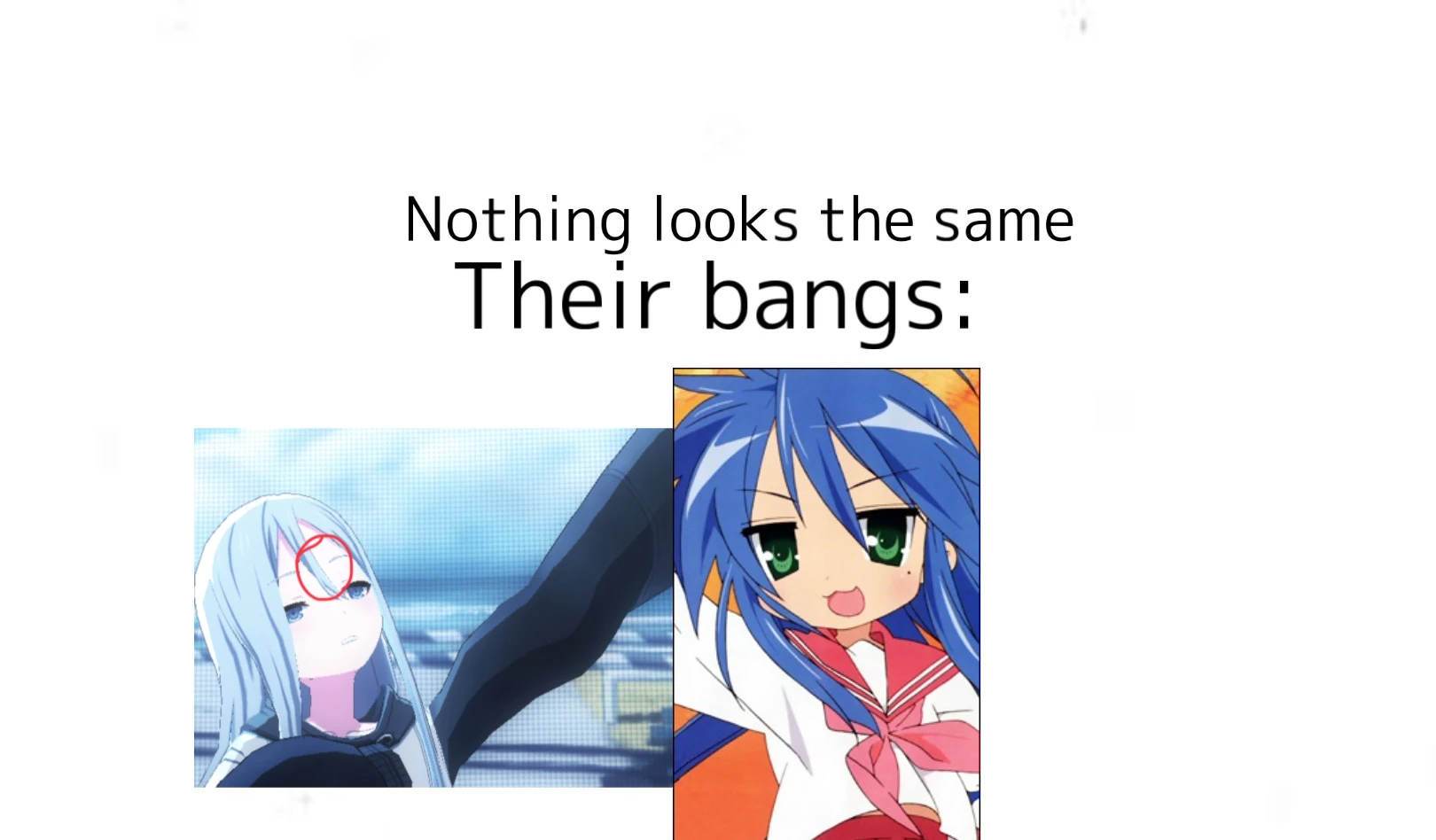 Anyone wanna do a bunch of memes | Fandom