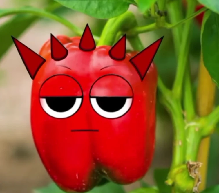 Pepper raddy | Fandom