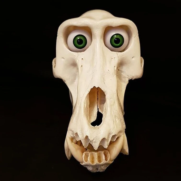 My review on BFDIA 14 | Fandom