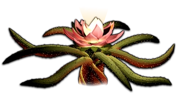 When I hear mandrake or lotus. | Fandom