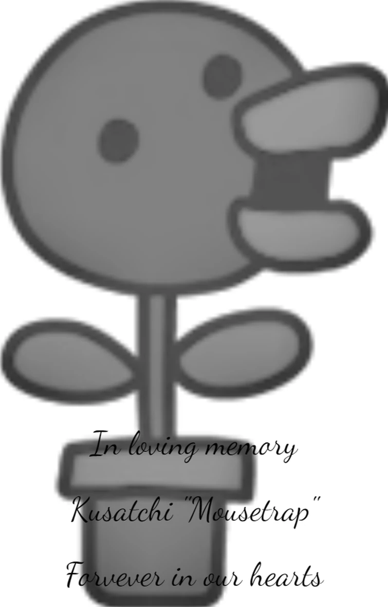 in loving memory of kusatchi / mousetrap II | Fandom