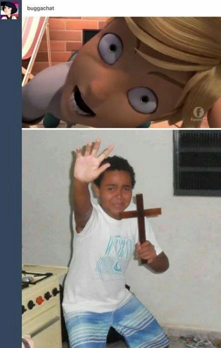 miraculous memes | Fandom