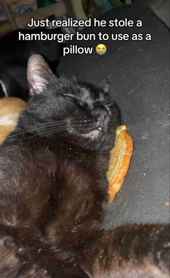 Context #6? | Fandom