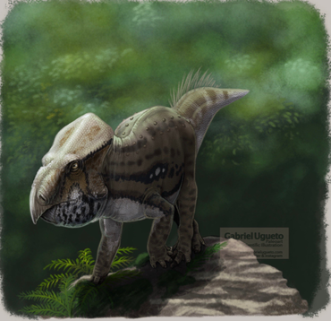 Discuss Everything About Dinopedia | Fandom