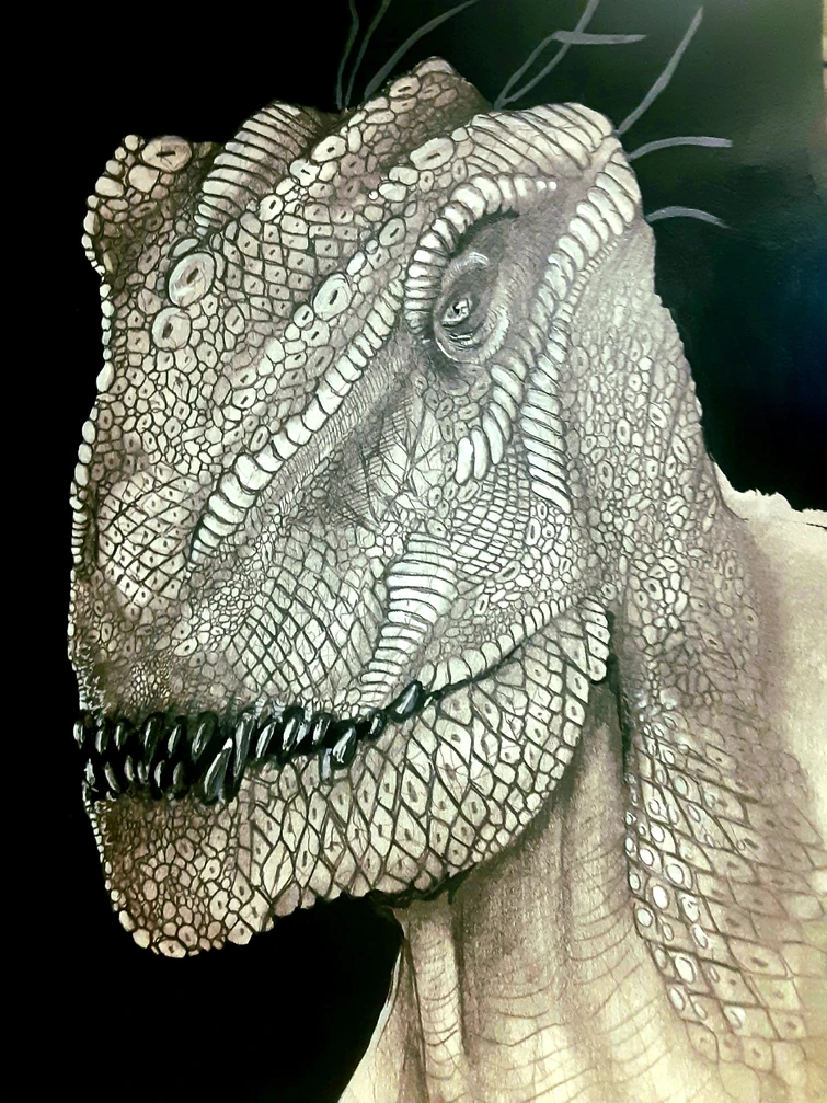 Dinosaur Drawing | Fandom