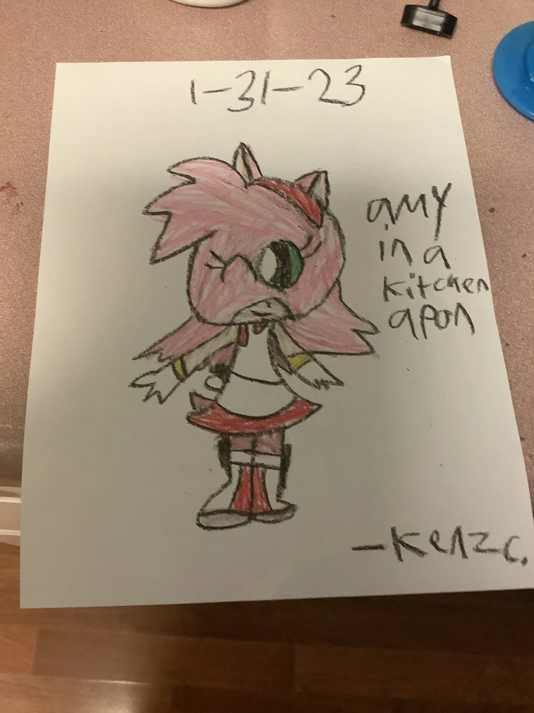 Amy rose in a kitchen apron | Fandom