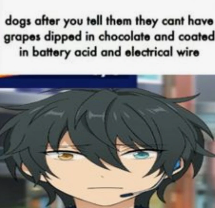 I downloaded Pinterest for some enstars memes and oh dear.... | Fandom