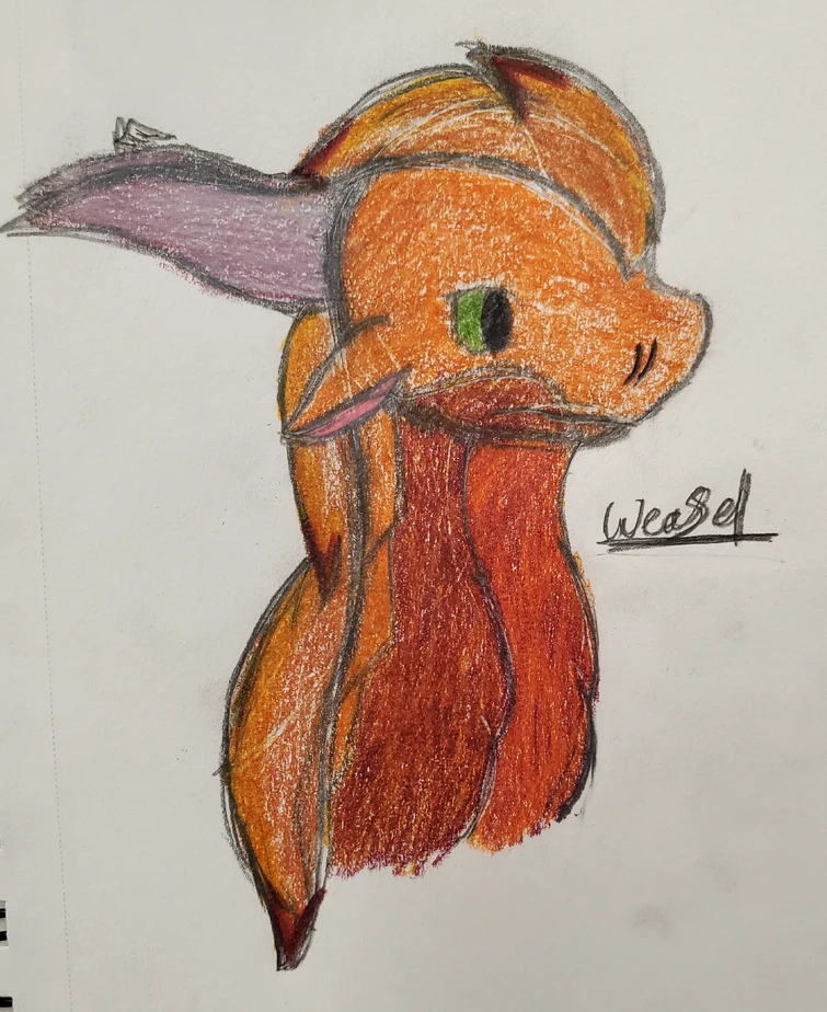 Random Weasel doodle! | Fandom