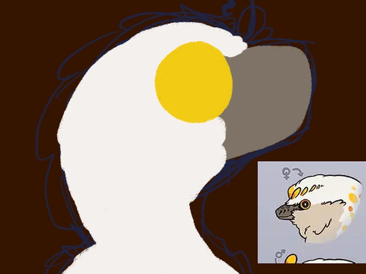 puffwump wip part 1 | Fandom