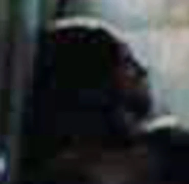 Discuss Everything About Halloween Series Wiki | Fandom