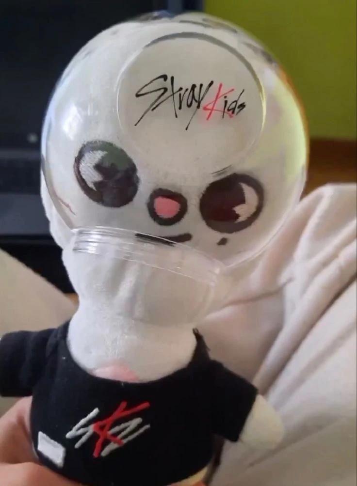 daily skzoo (day 23) | Fandom