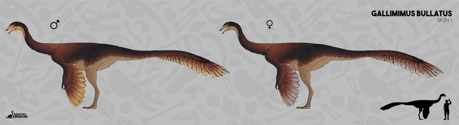 Galli skins reveal and Simosuchus confirmed! | Fandom