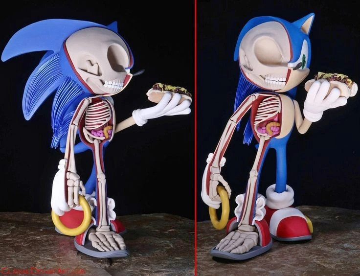 Sonic skeleton | Fandom