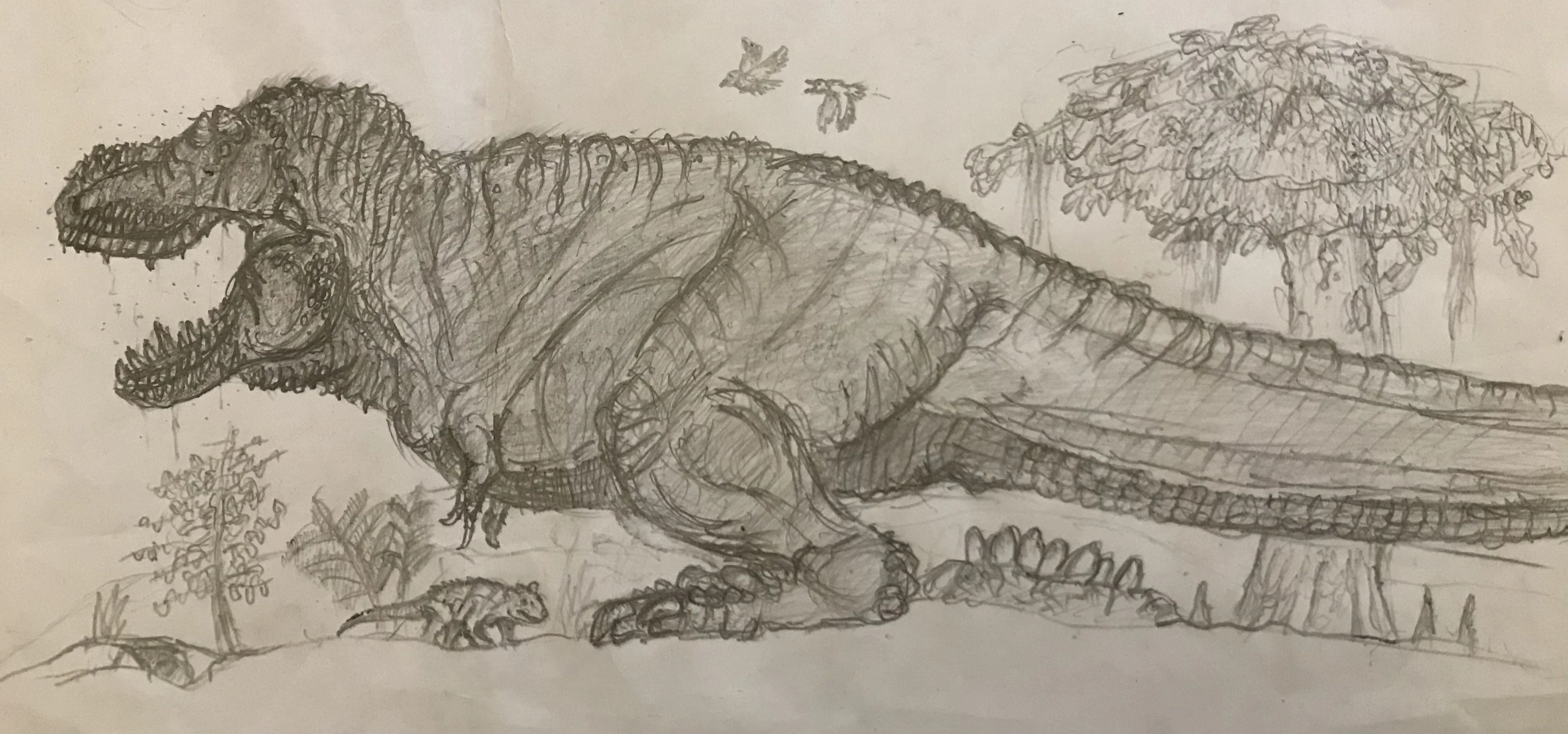 T.Rex drawing! | Fandom