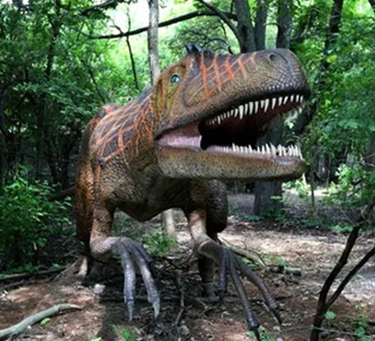 Rate This Animal - Part 17 | Fandom