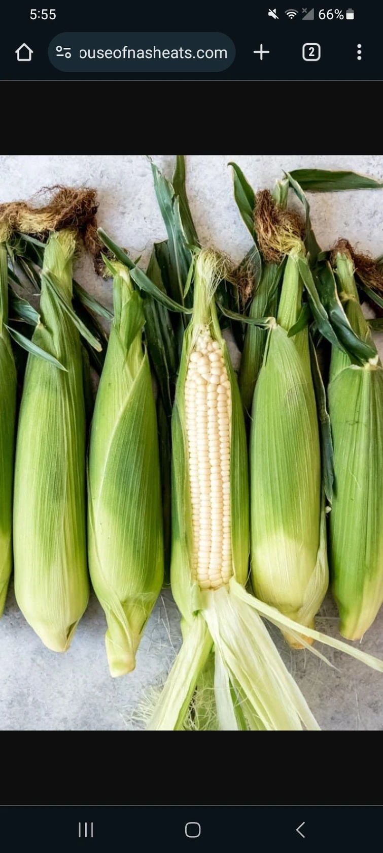 New B.O.B. skin: corn on the C.O.B | Fandom