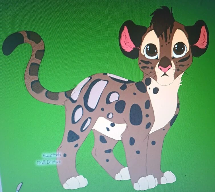 Dariyon's BIG Pet Cat (Savannah X Bengal x Havana Brown x American ...