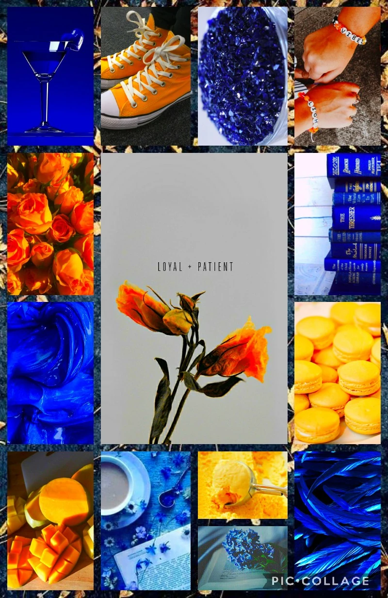 Hybrid Houses Aesthetics - Ravenpuff | Fandom
