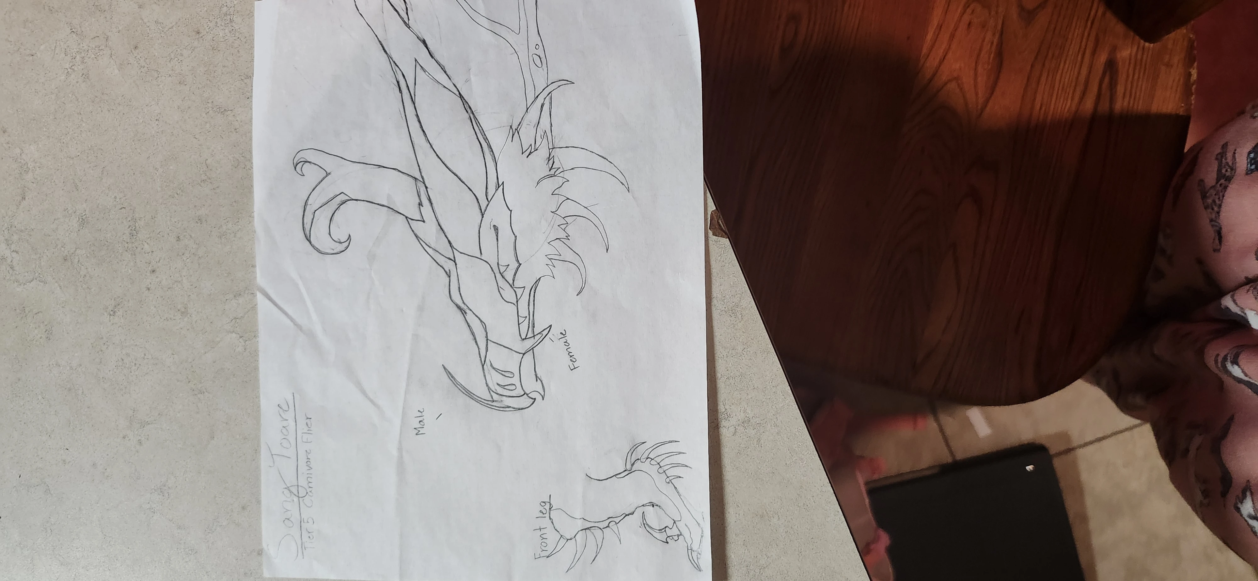 Drew A Sang Toare/Finished! | Fandom