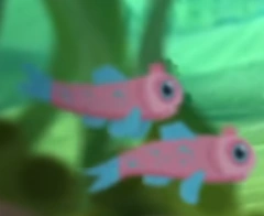 fish in 2D | Fandom