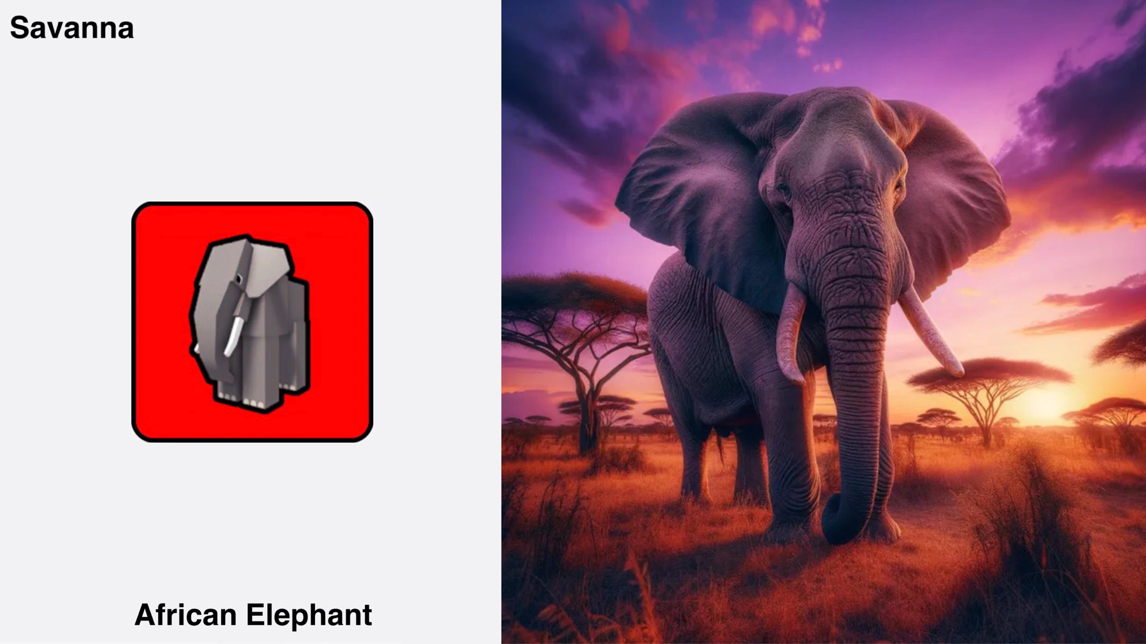 African Elephant | Fandom