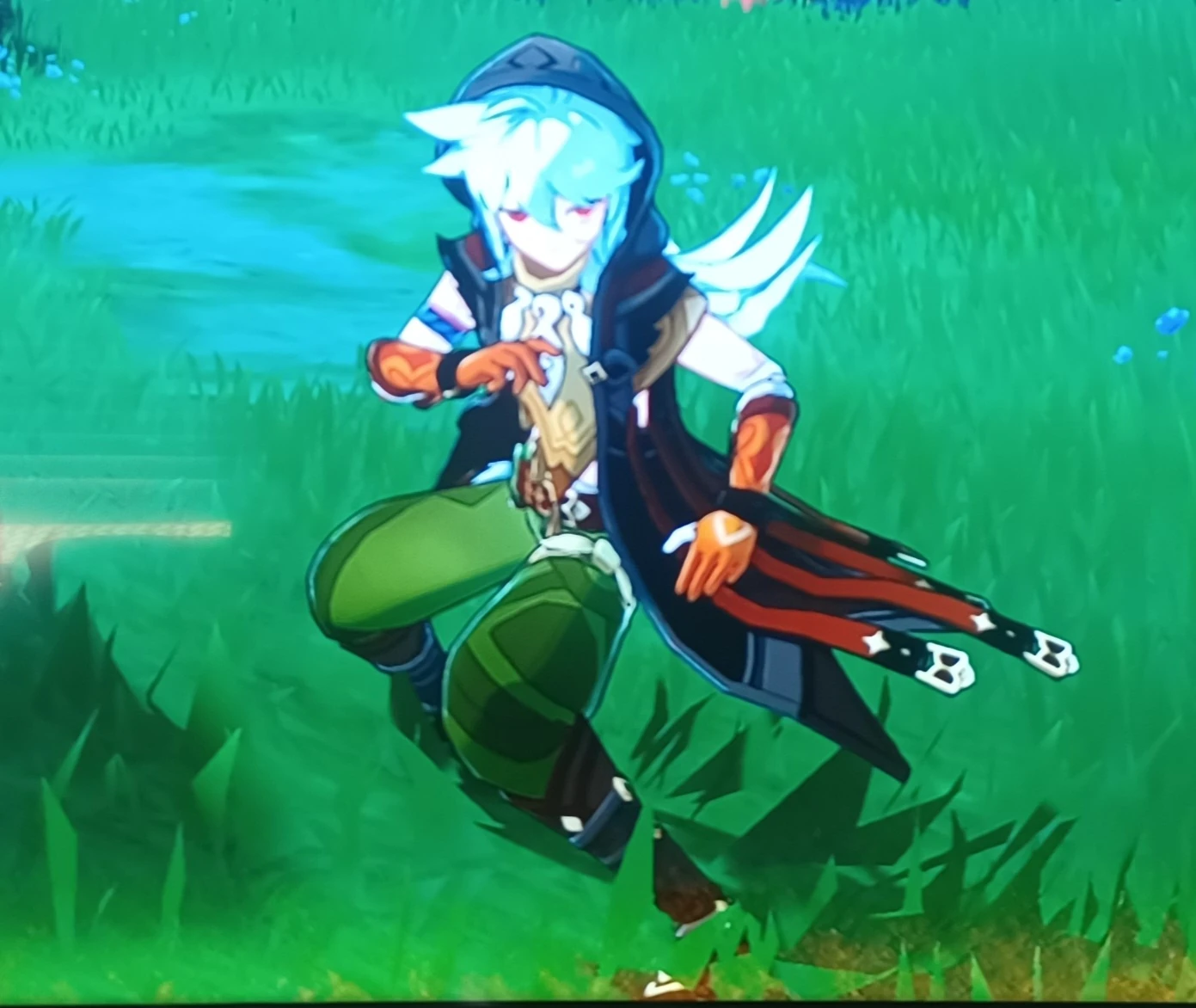 When I first walked in sumeru's forest I just knew | Fandom