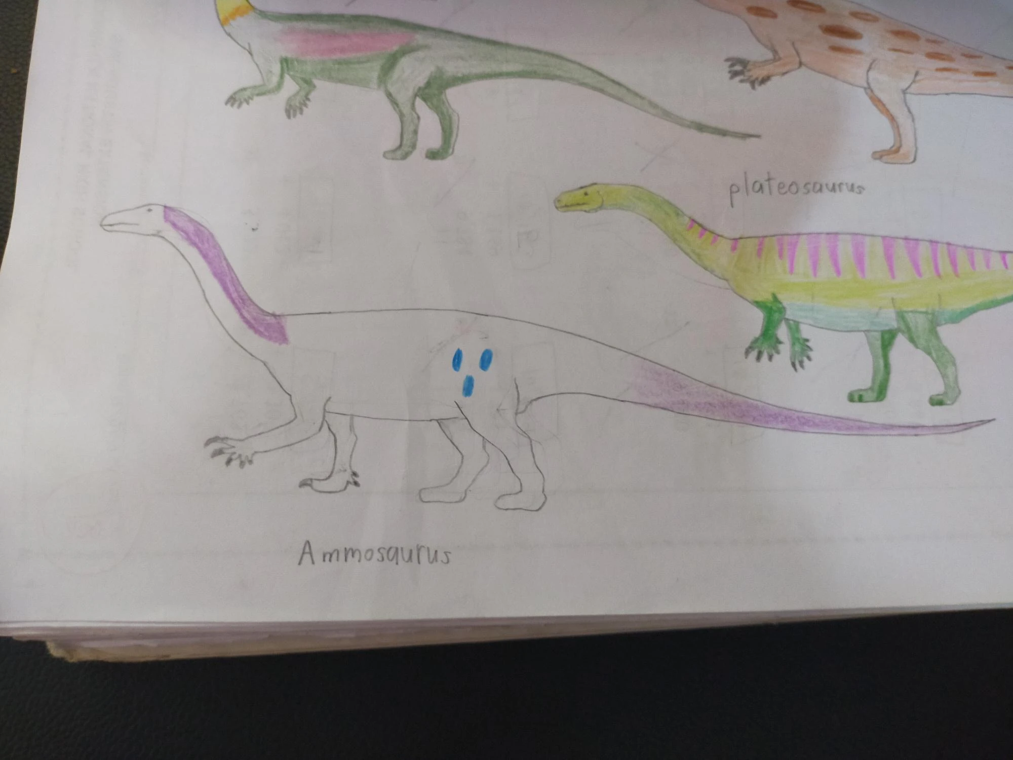This is ammosaurus look at he s Color | Fandom