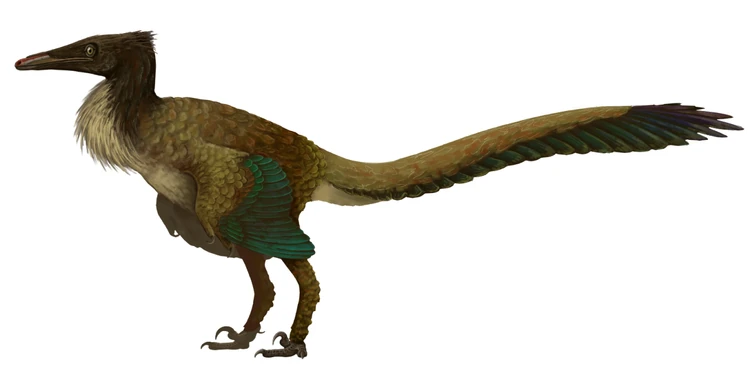 Discuss Everything About Dinopedia | Fandom