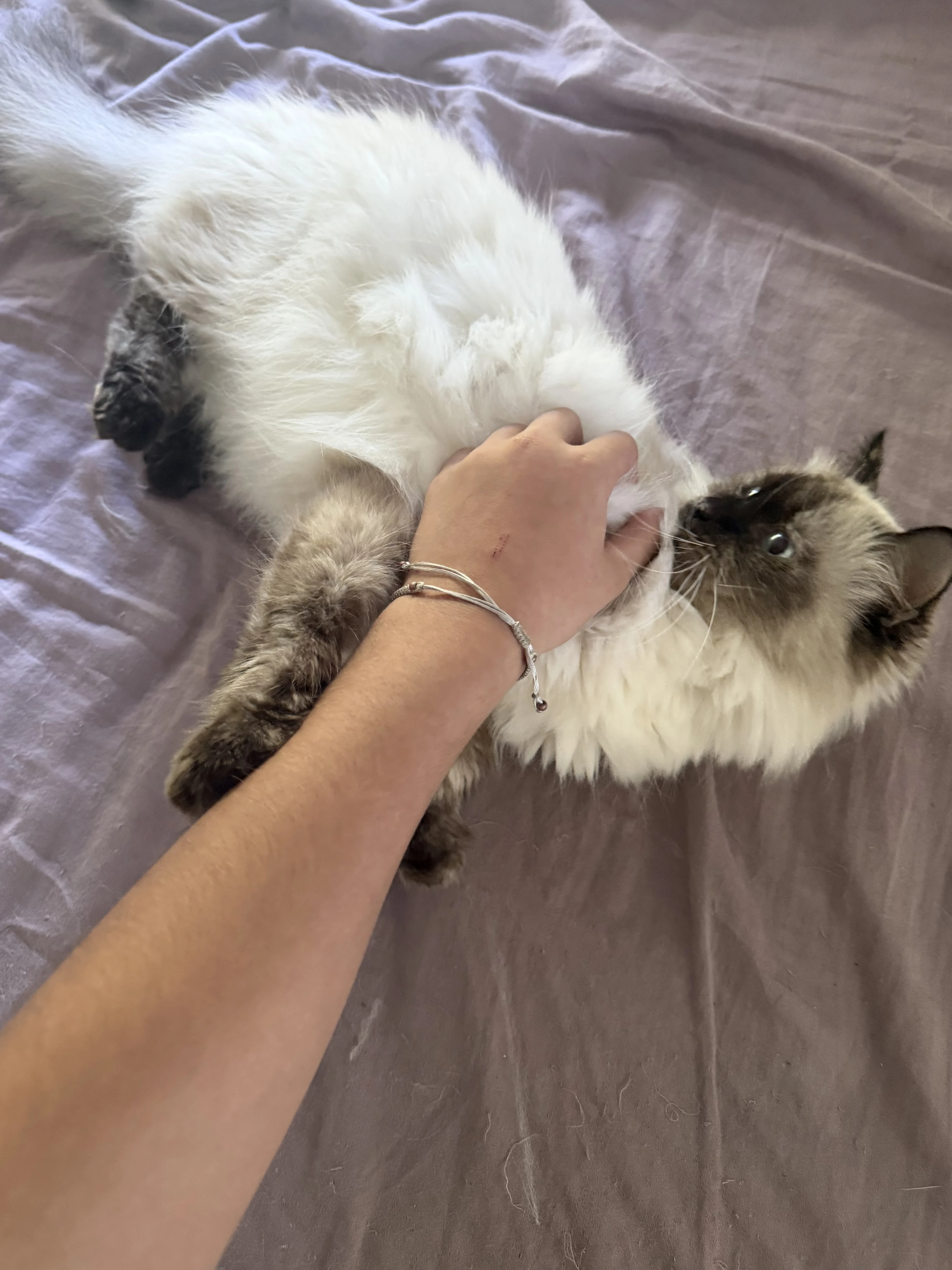 Its my Birthday!! | Fandom