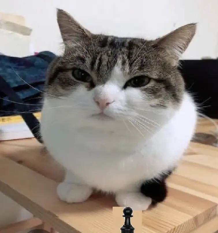 the private server commands arent working and im tweaking | Fandom