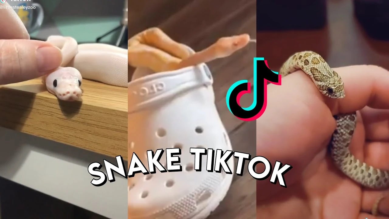 irl zohdok footage :> | Fandom