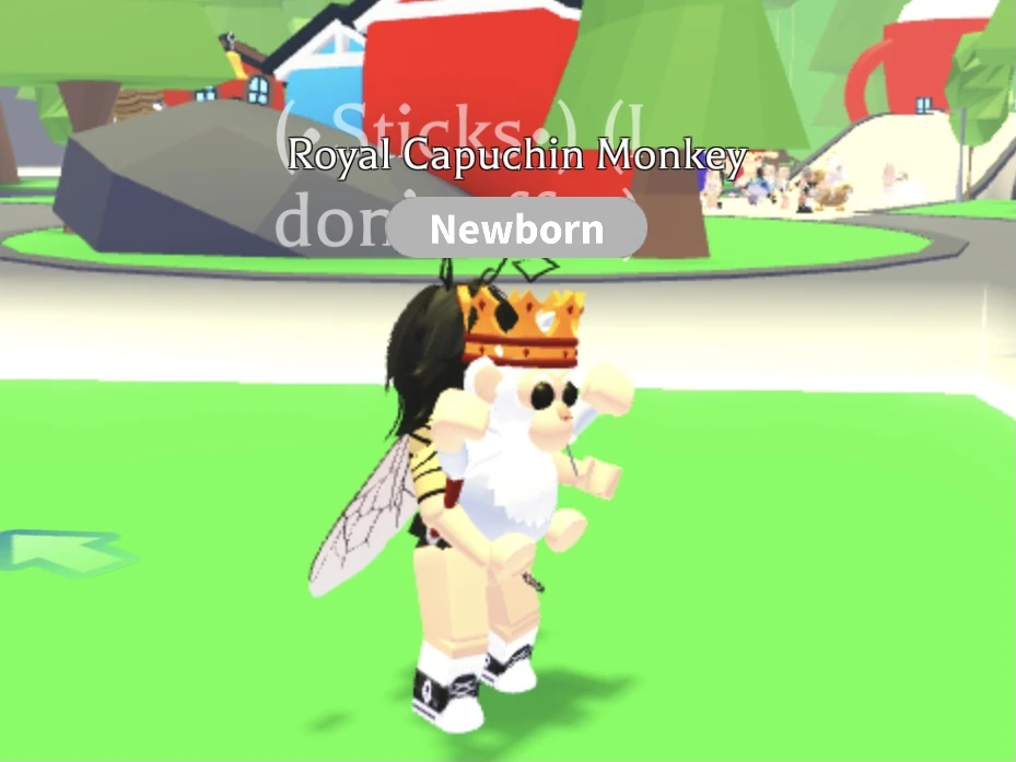 So I stopped being on the AM! Wiki awhile back | Fandom