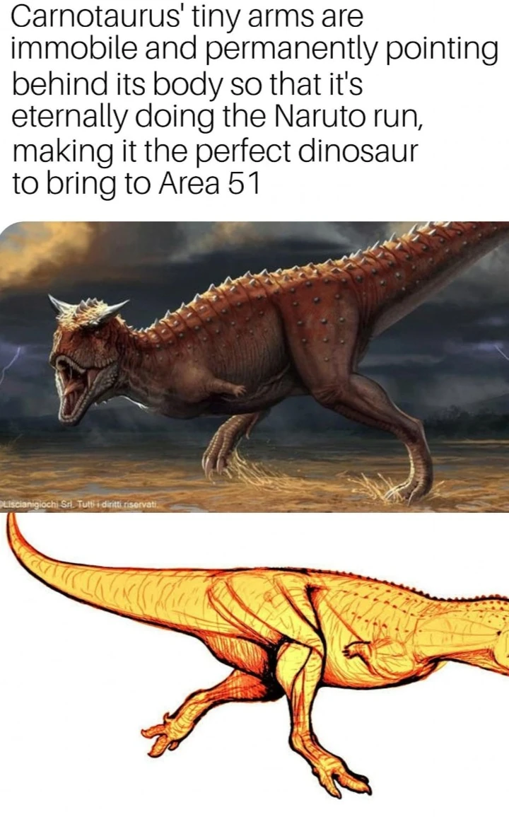 Carnotaurus | Fandom