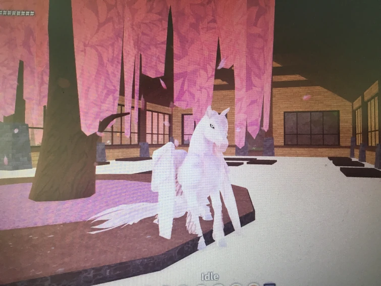 SELLING PINK DRAFT WINGED KELP | Fandom