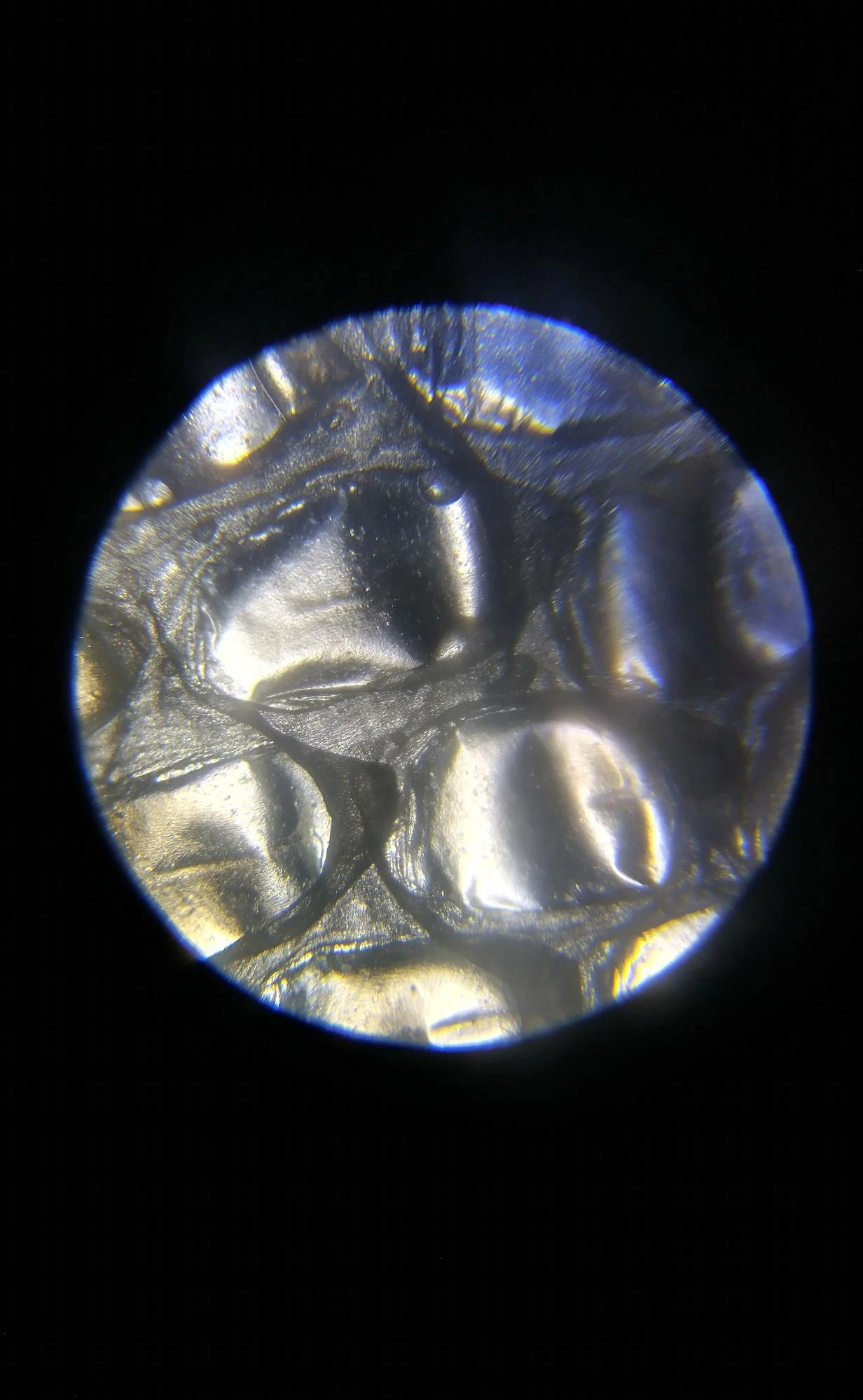 Coppers shed under a microscope | Fandom