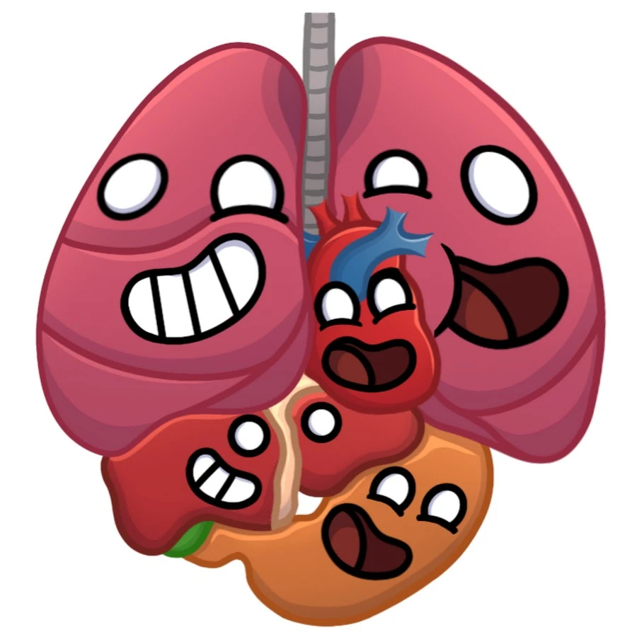 A NEW CHANNEL BY MRSPHERICAL | Fandom