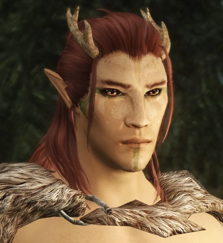 Discuss Everything About Elder Scrolls | Fandom