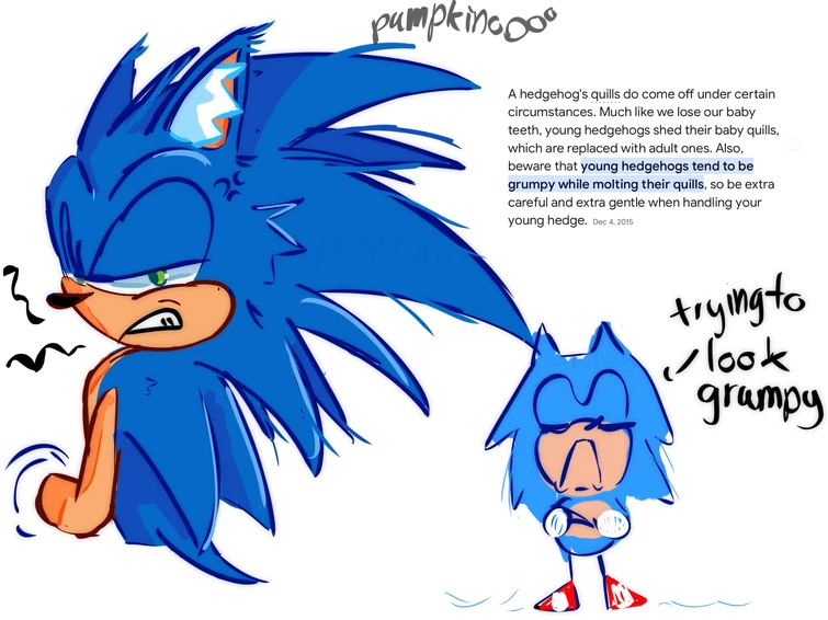 Discuss Everything About Sonic Wiki Zone | Fandom