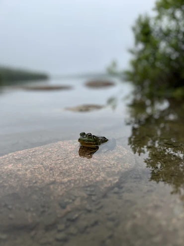 What should I draw first #5 | Fandom