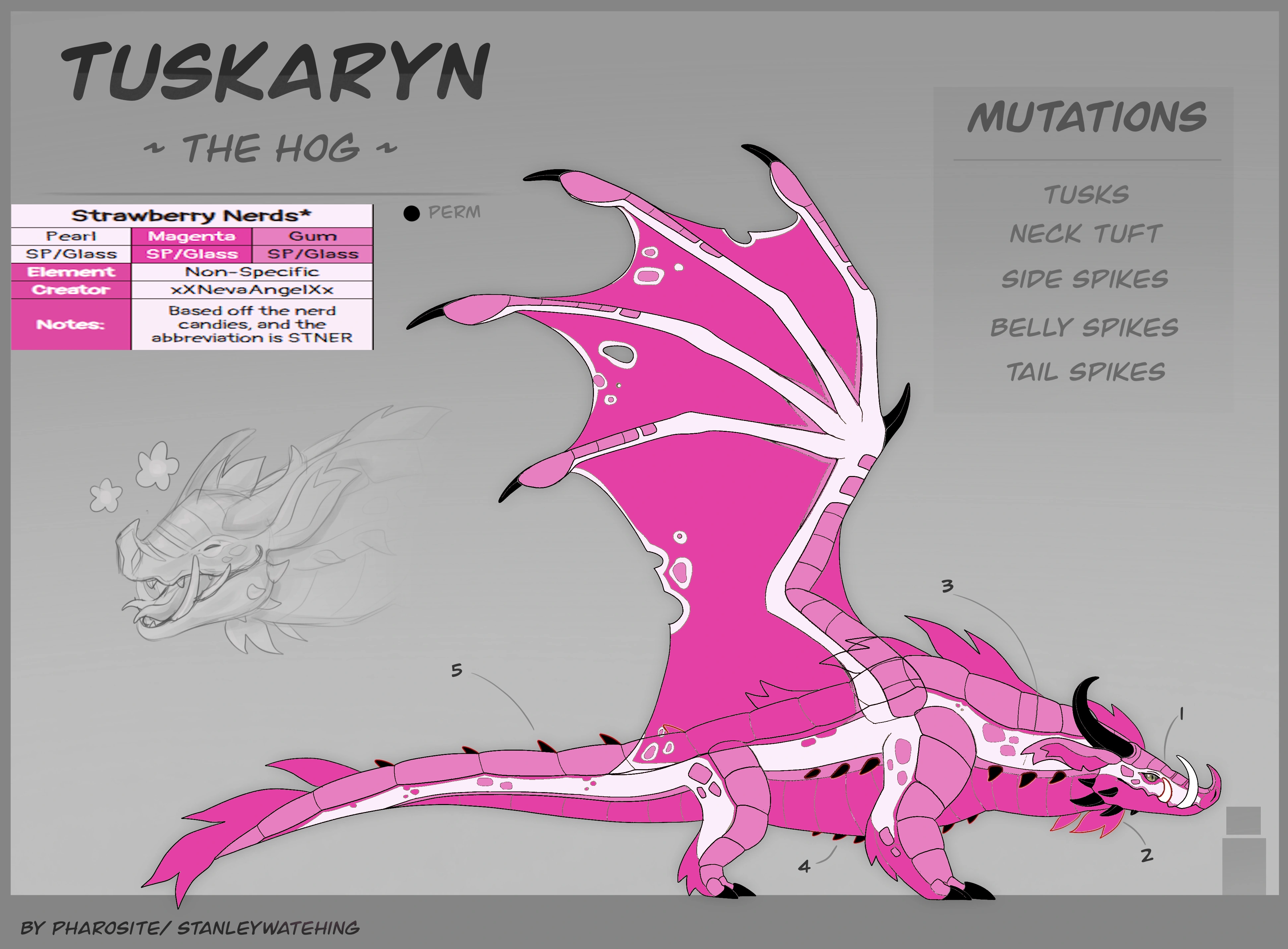 (New Dragon) Tusk in all 14 + unofficial of my themes! Plus exciting ...