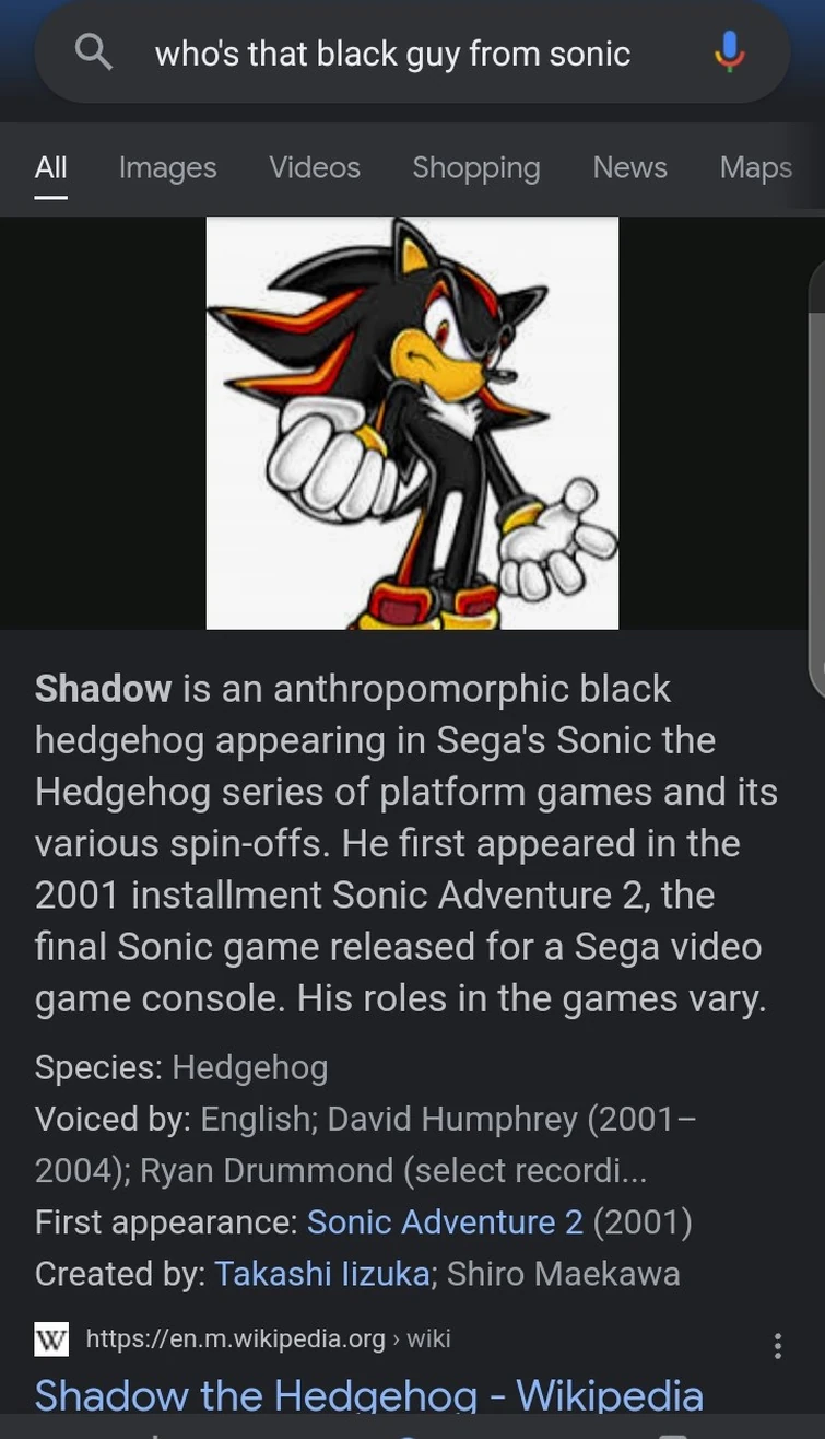 quick sonic google search | Fandom